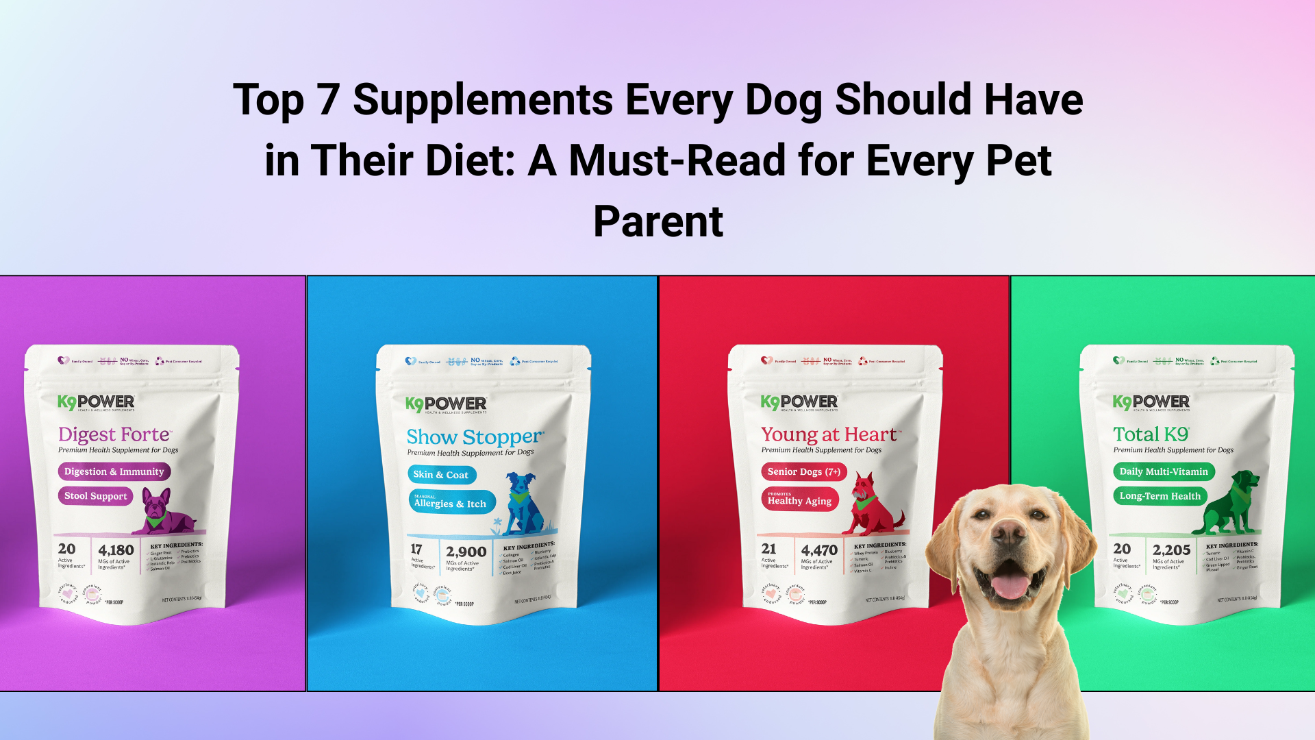 Top 7 Supplements Every Dog Should Have in Their Diet: A Must-Read for