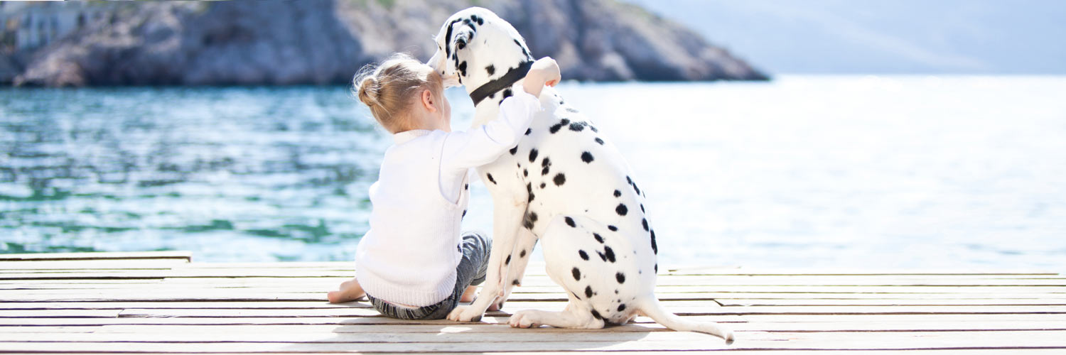 5 Ways To Speak Your Dog’s Love Language