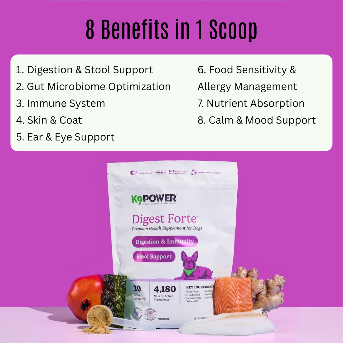 Digest Forte – Probiotics & Digestive Enzymes for Dogs