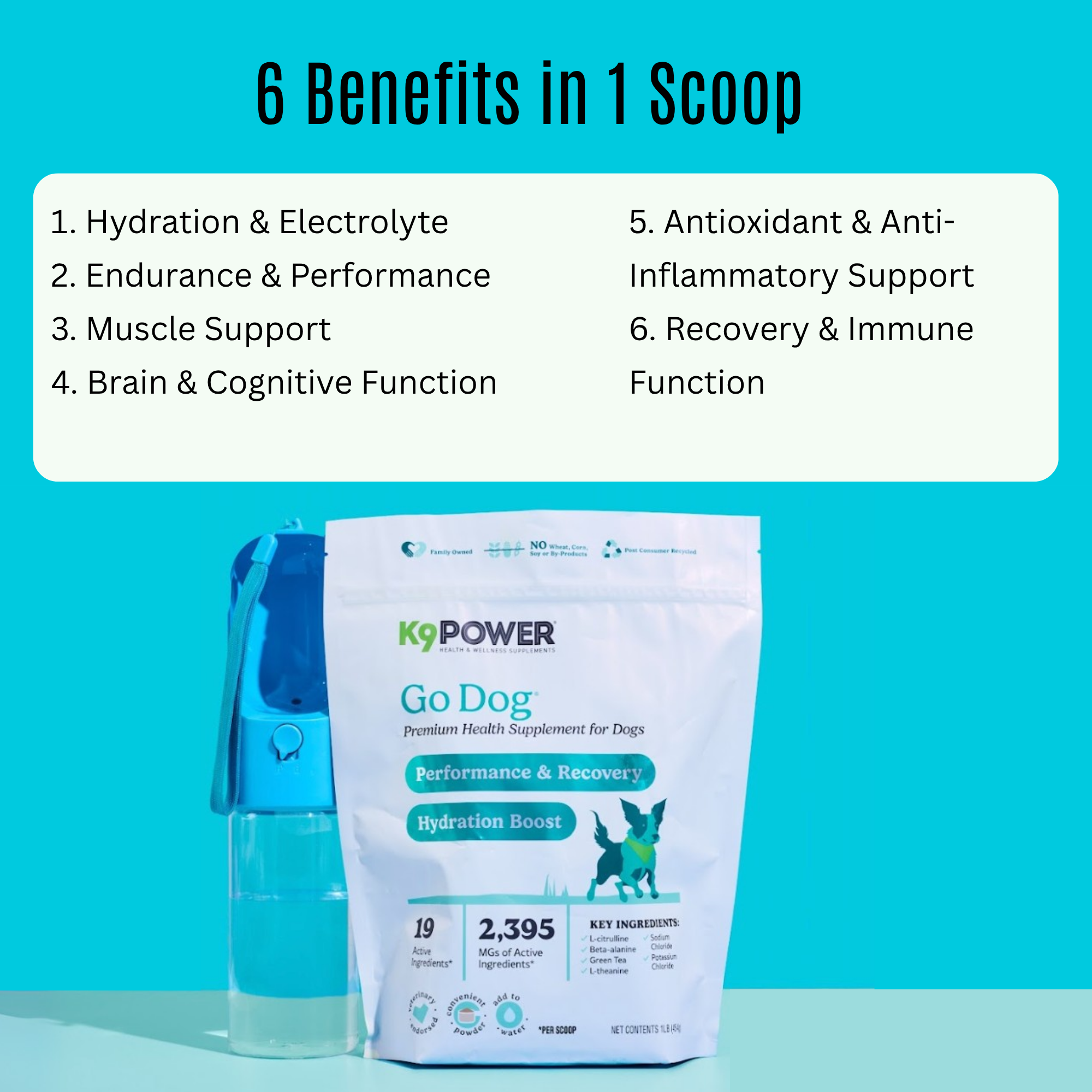 Go Dog Hydration Formula – Energize & Hydrate Active Dogs