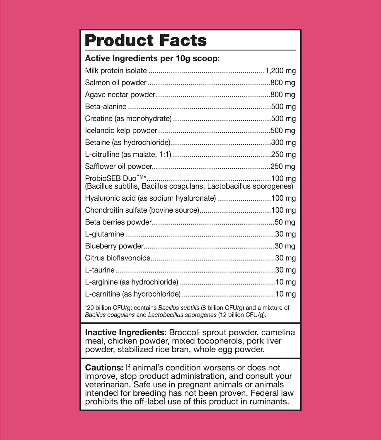 Shop Super Fuel by K9 Power to Boost Your Dog's Energy