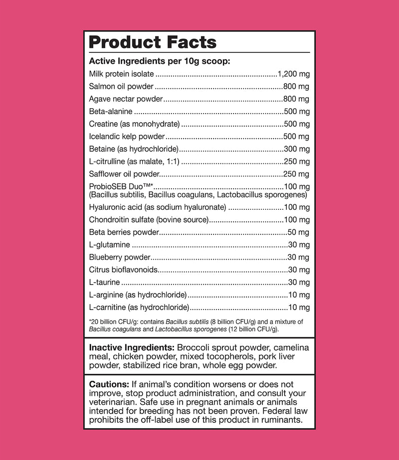 Shop Super Fuel by K9 Power to Boost Your Dog's Energy