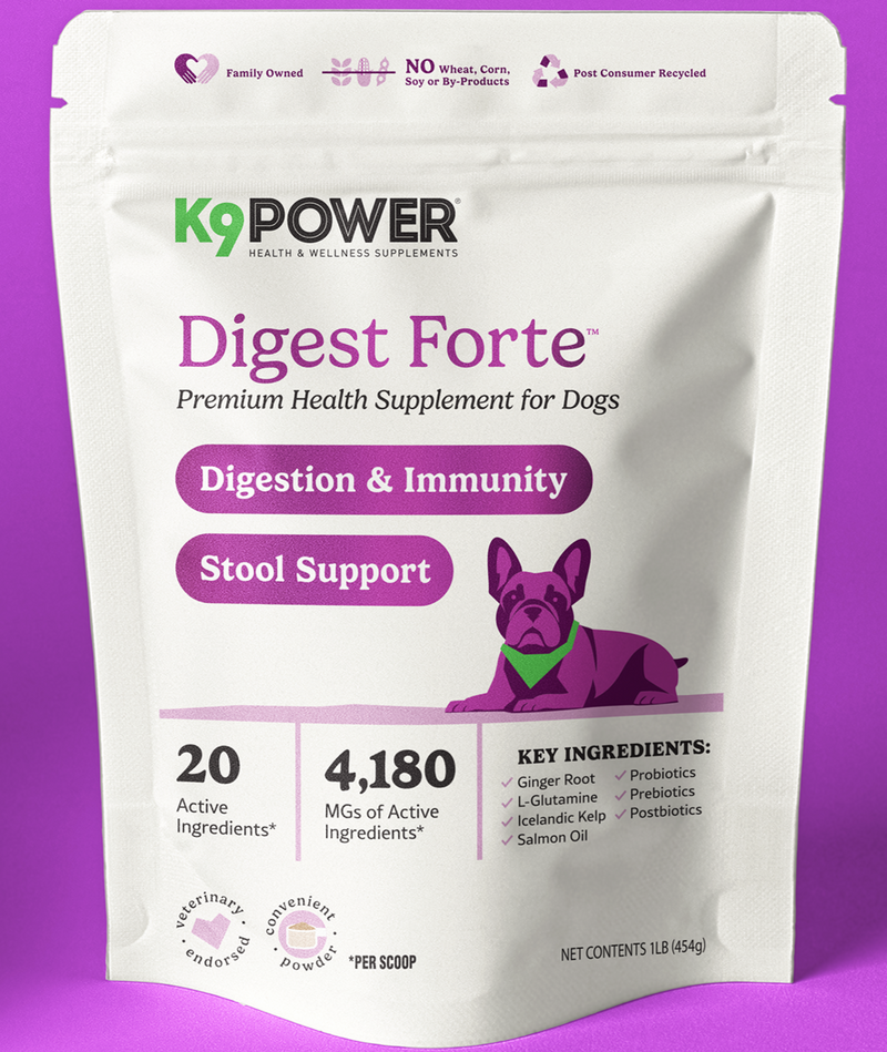 Digest Forte – Probiotics & Digestive Enzymes for Dogs