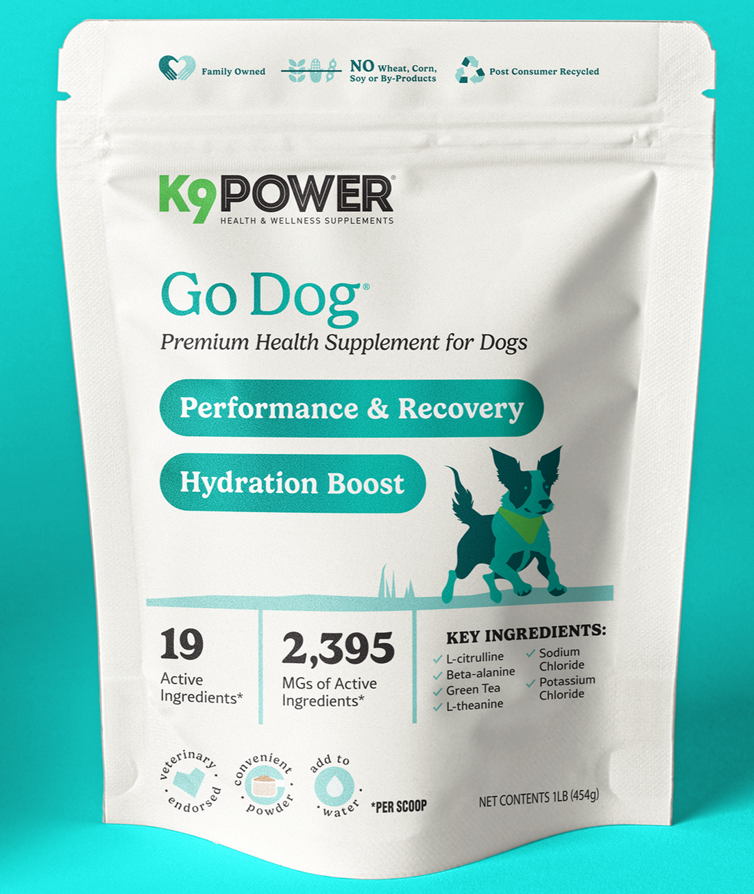 Go Dog Hydration Formula – Energize & Hydrate Active Dogs