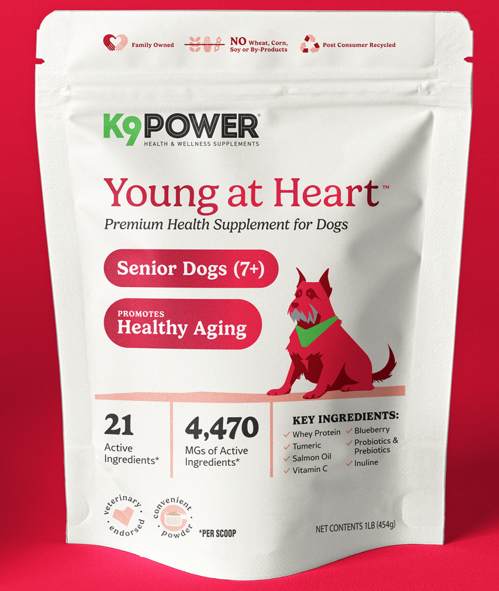 K9 Power | Best Dog Supplements & Health Essential for Dogs