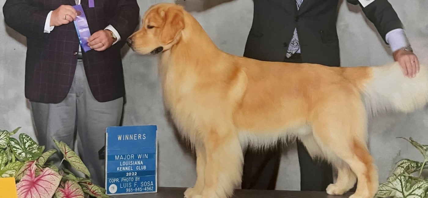 K9 Power - Shop Premium Dog Supplements & Vitamins